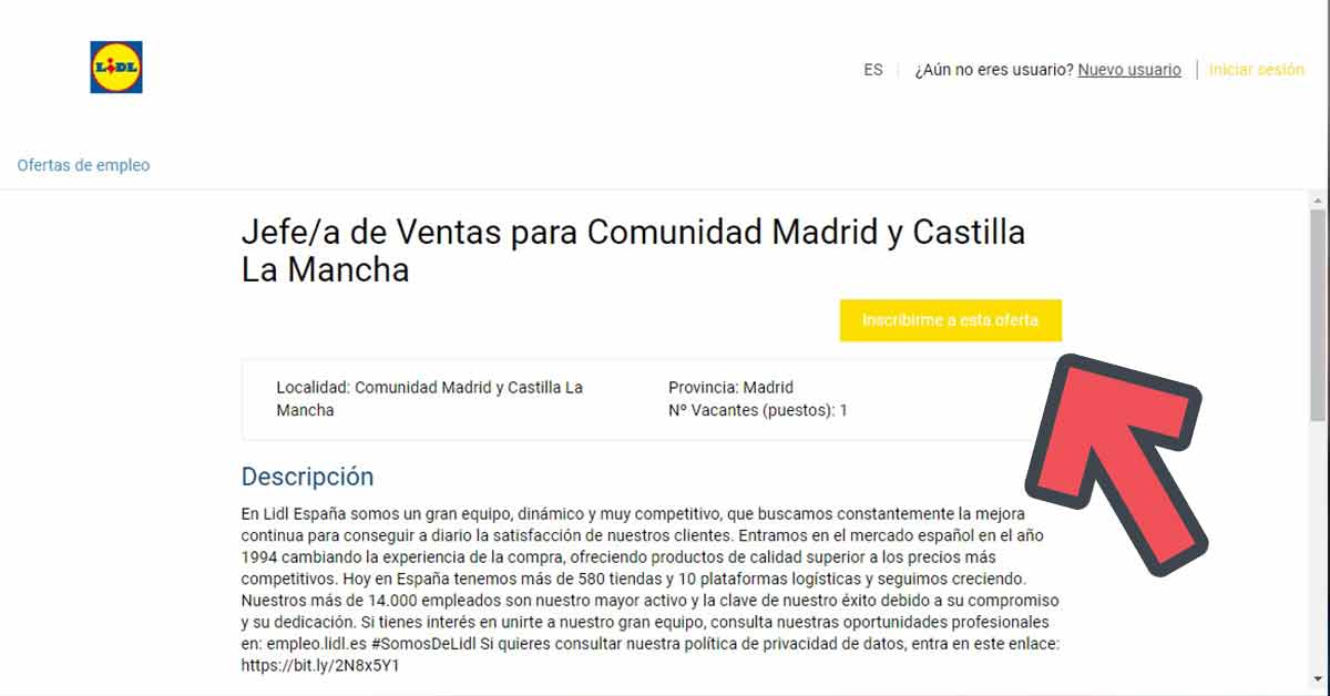 Empleo Lidl, enviar CV, requisitos y sueldo