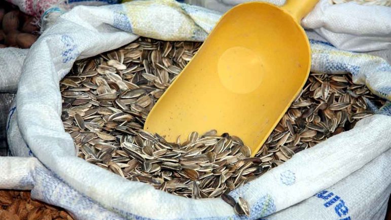 ¿Engordan las pipas? Estas son sus calorías, propiedades y beneficios ...