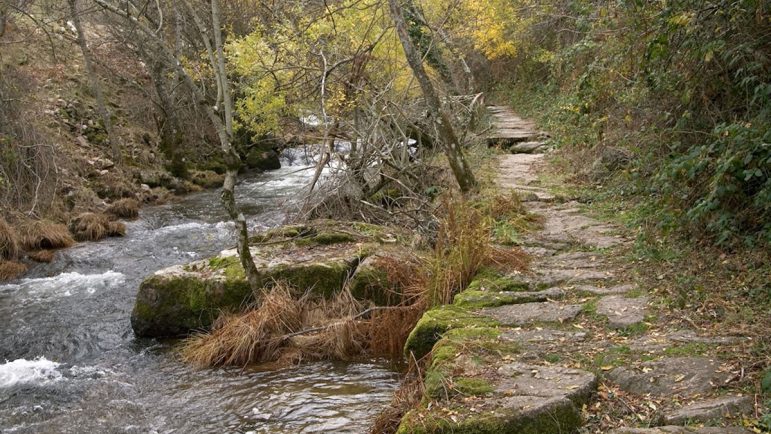 Boca del Asno, la ruta por los montes de Valsaín a una hora y media de ...